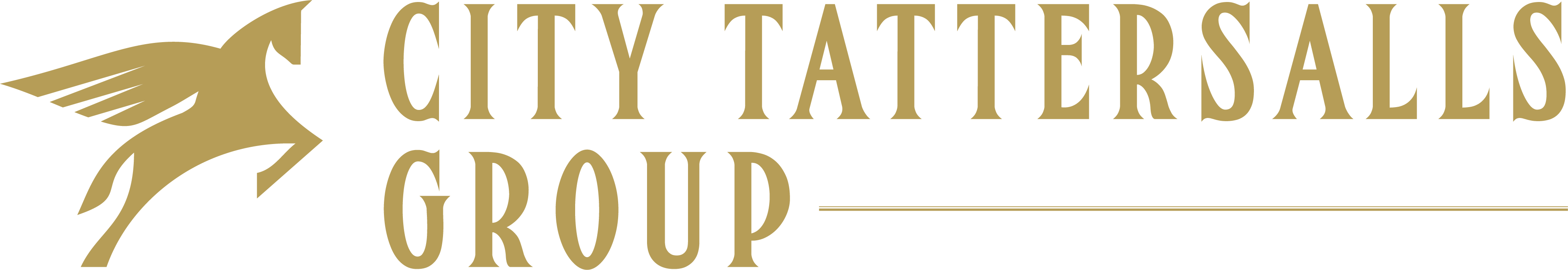 NPL Youth Squads - St George City