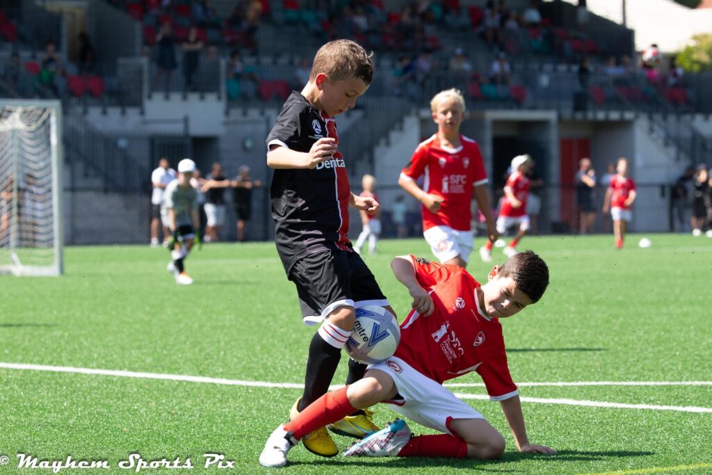 JDL Program Information - St George City